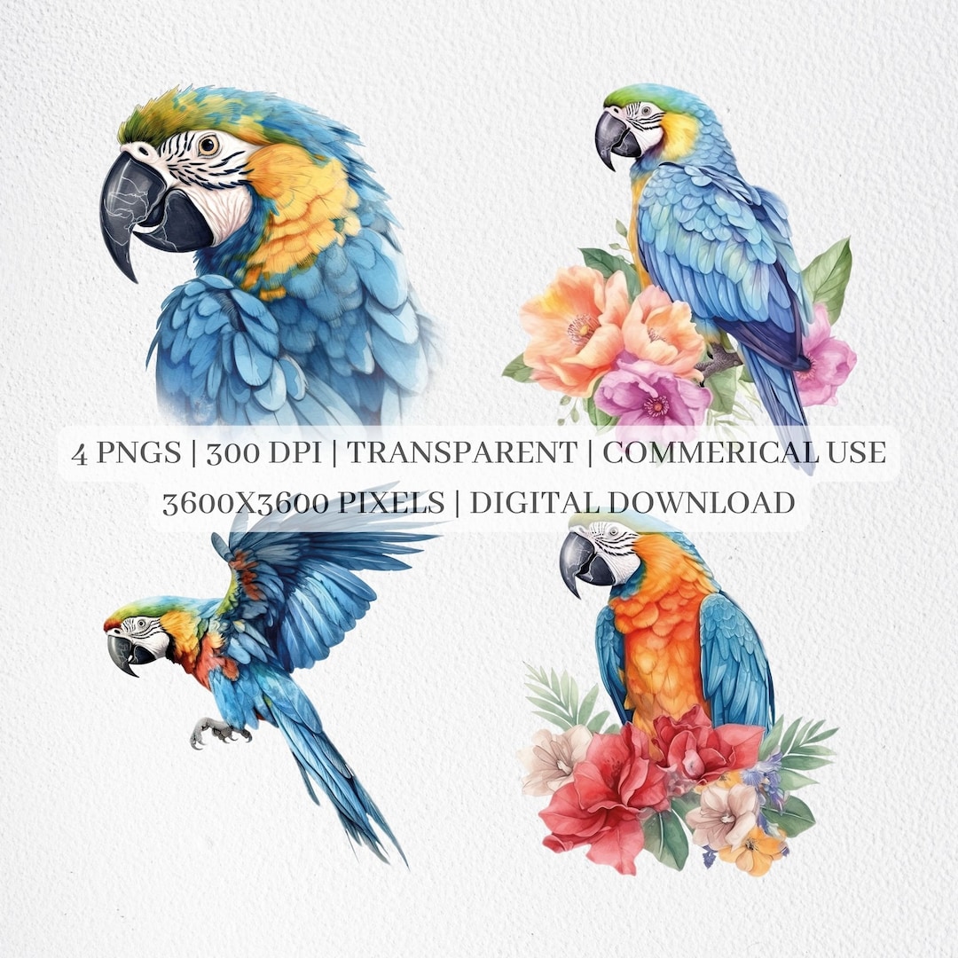 Floral Macaw Clipart, Macaw PNG Files for Sublimation, Tropical Bird ...