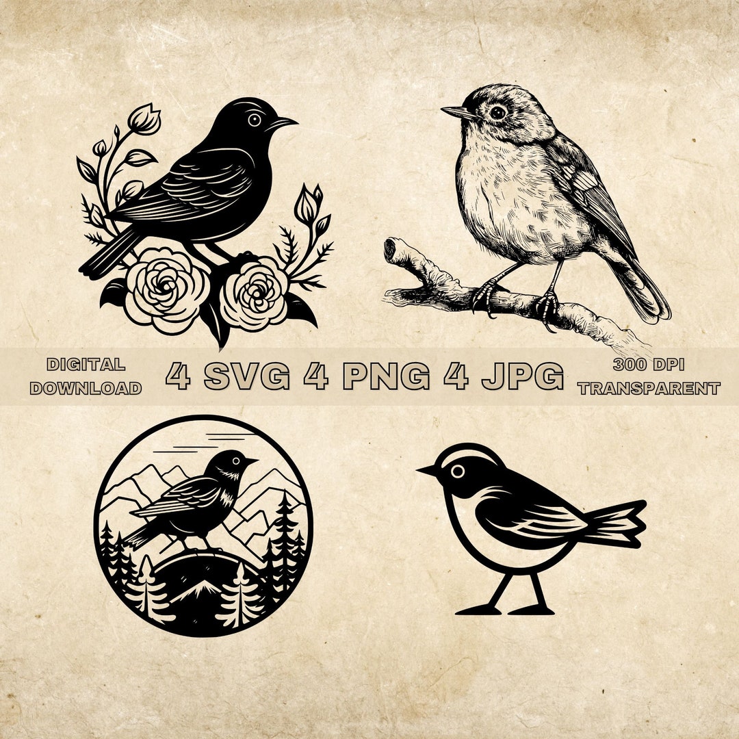Robin Bird SVG Bundle, PNG, Bird Flower Clipart, Hand Drawn Birds ...