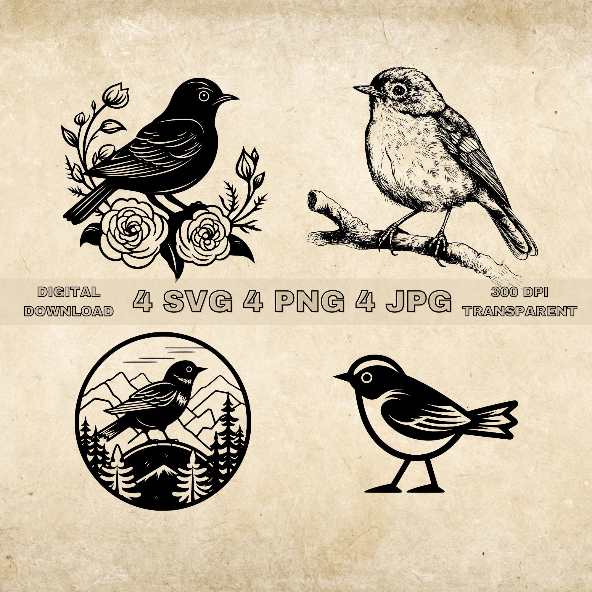 Robin Bird SVG Bundle, PNG, Bird Flower Clipart, Hand Drawn Birds ...