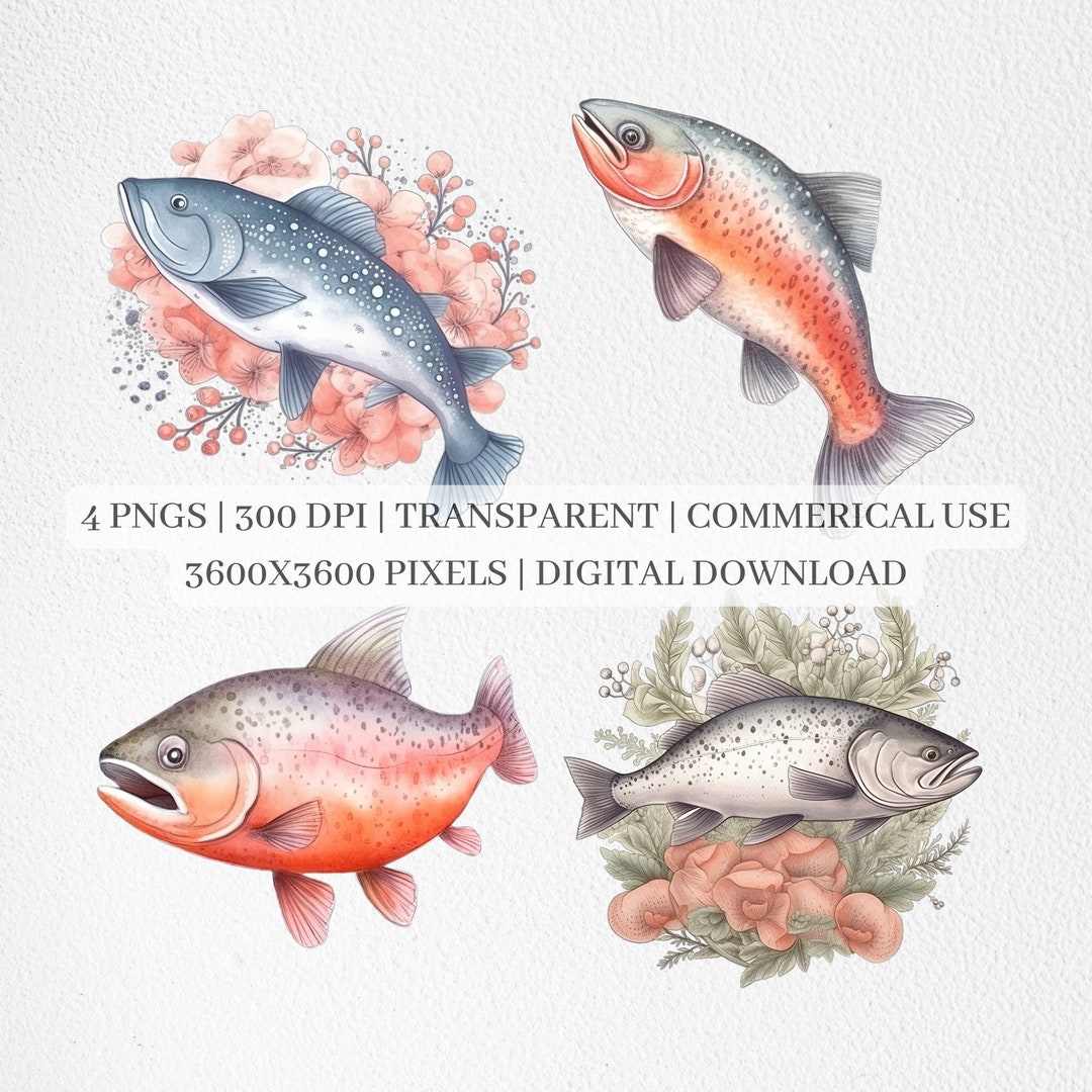 Salmon Clipart, Salmon PNG Files for Sublimation, Salmon Fish Clip Art ...