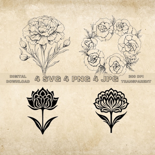 Carnation Svg - Etsy