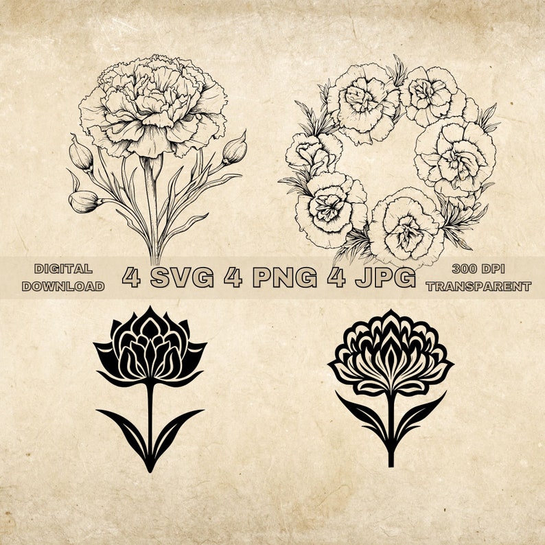 Carnation SVG Bundle PNG Floral Clipart Hand Drawn Flowers - Etsy