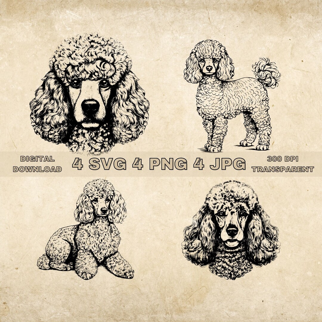 Poodle SVG Bundle, PNG, Cute Dogs Clipart, Hand Drawn Dog Vector ...
