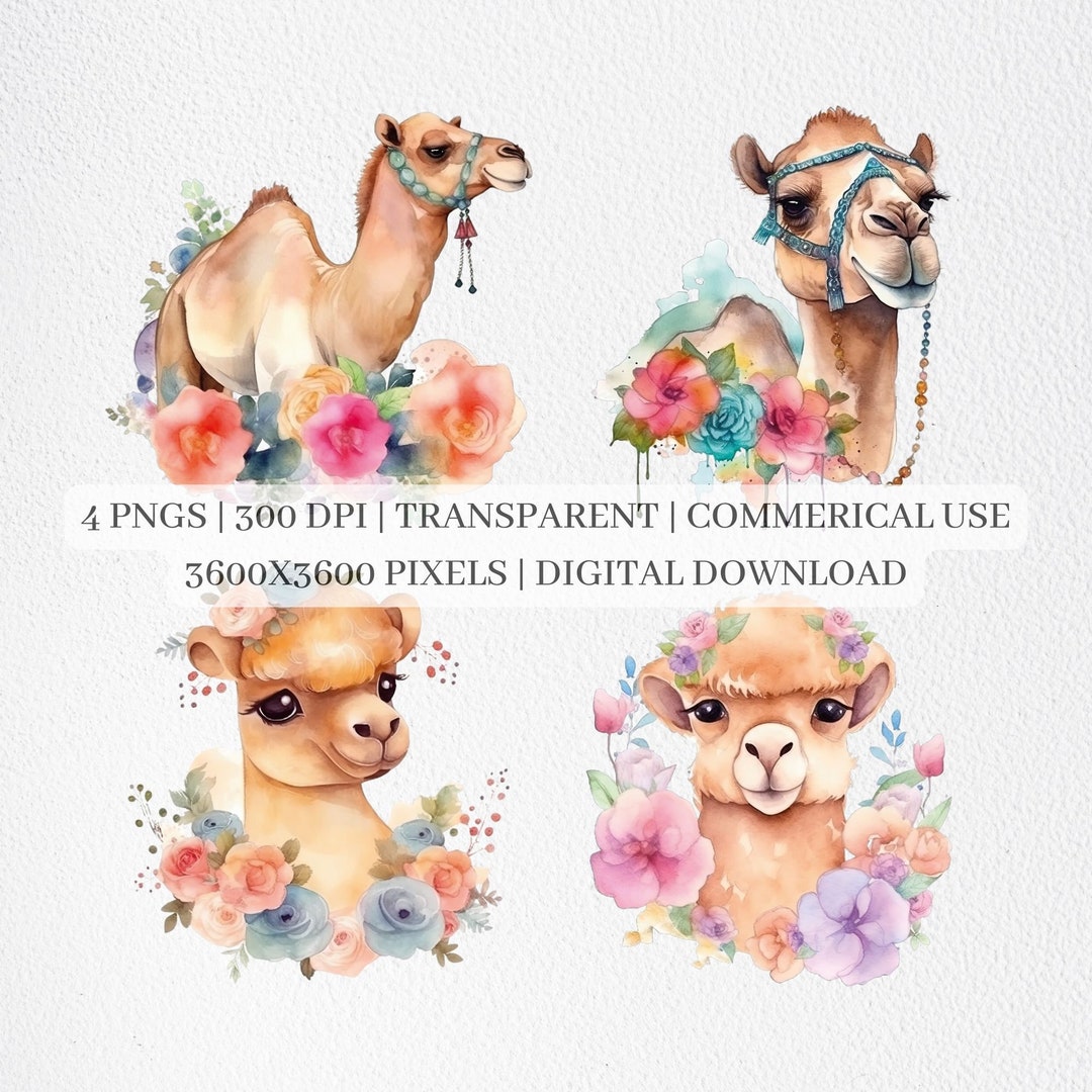 Cute Camel Clipart, Watercolor Camels PNG Files, Flowers and Animal ...