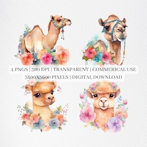 Cute Camel Clipart, Watercolor Camels PNG Files, Flowers and Animal ...