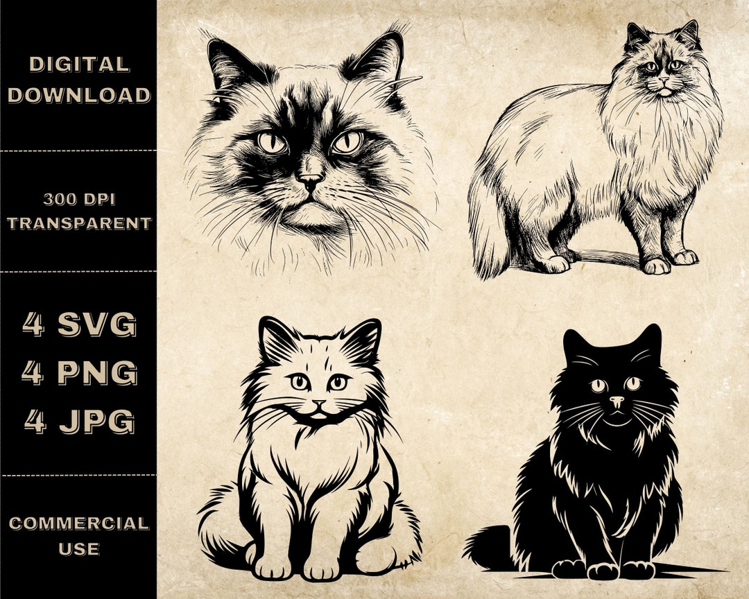 Ragdoll Cat SVG Bundle, PNG, Cat Face Clipart, Hand Drawn Ragdoll Cat ...