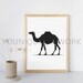 Camel SVG Bundle, PNG, Camel Clipart, Hand Drawn Camel Vector ...