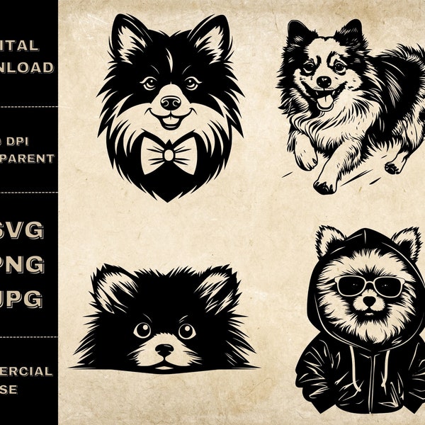 Pomeranian Svg - Etsy
