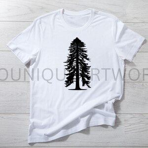 Redwood SVG Bundle, PNG, Trees Clipart, Hand Drawn Redwood Tree Vector ...