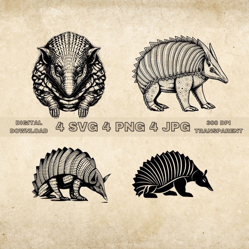 Armadillo SVG Bundle PNG Armadillo Clipart Hand Drawn - Etsy