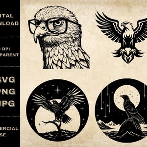 Hawk SVG Bundle, PNG, Hawk Clipart, Hand Drawn Hawk Vector Illustration ...