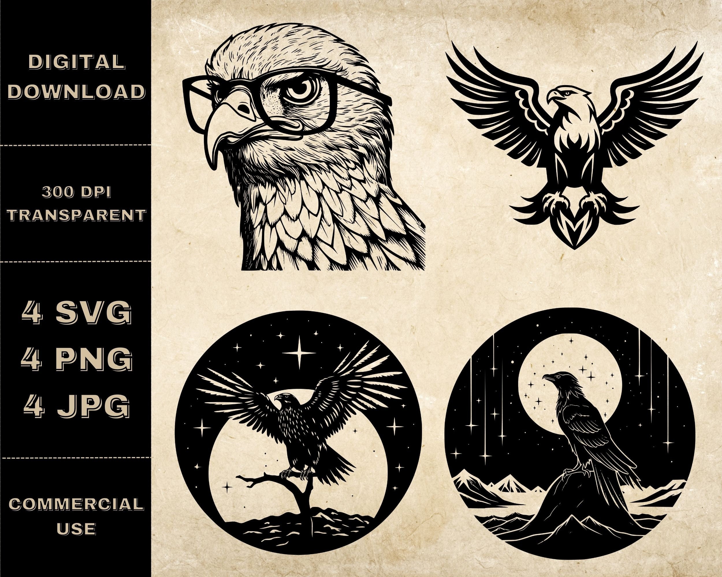Hawk SVG Bundle, PNG, Hawk Clipart, Hand Drawn Hawk Vector Illustration ...