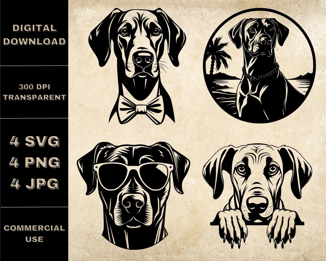 Rhodesian Ridgeback SVG Bundle, PNG, Cute Dogs Clipart, Hand Drawn ...