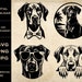 Rhodesian Ridgeback SVG Bundle PNG Cute Dogs Clipart Hand - Etsy