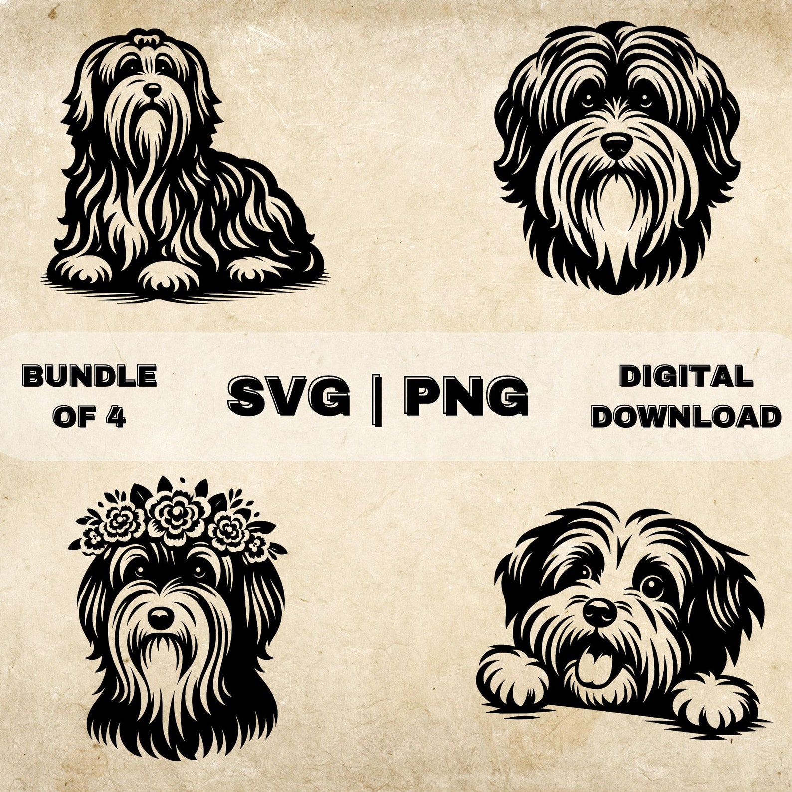 Havanese SVG Bundle, Havanese Clipart, Hand Drawn Dog Theme Vector ...