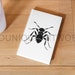 Ant SVG Bundle, PNG, Bug Clipart, Hand Drawn Insect Vector Illustration ...