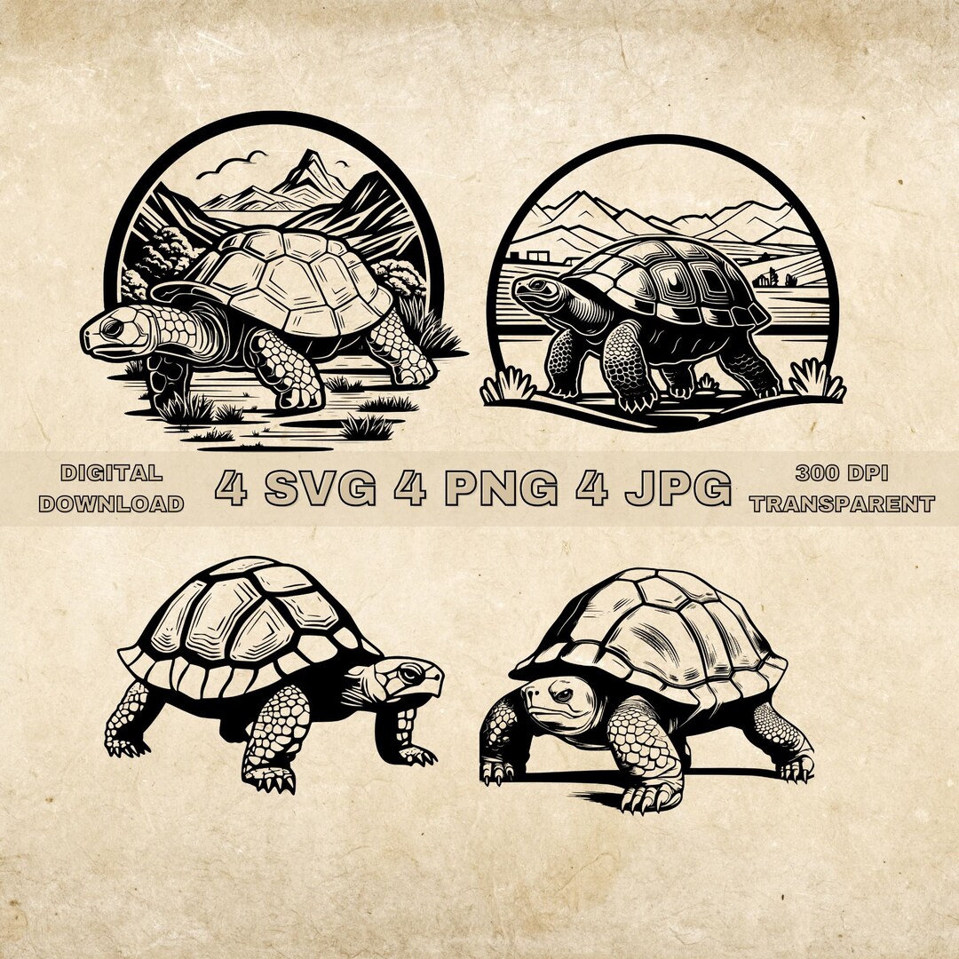Tortoise SVG Bundle, PNG, Tortoise Clipart, Hand Drawn Tortoise Vector ...