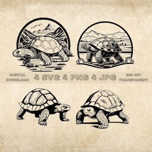Tortoise SVG Bundle, PNG, Tortoise Clipart, Hand Drawn Tortoise Vector ...