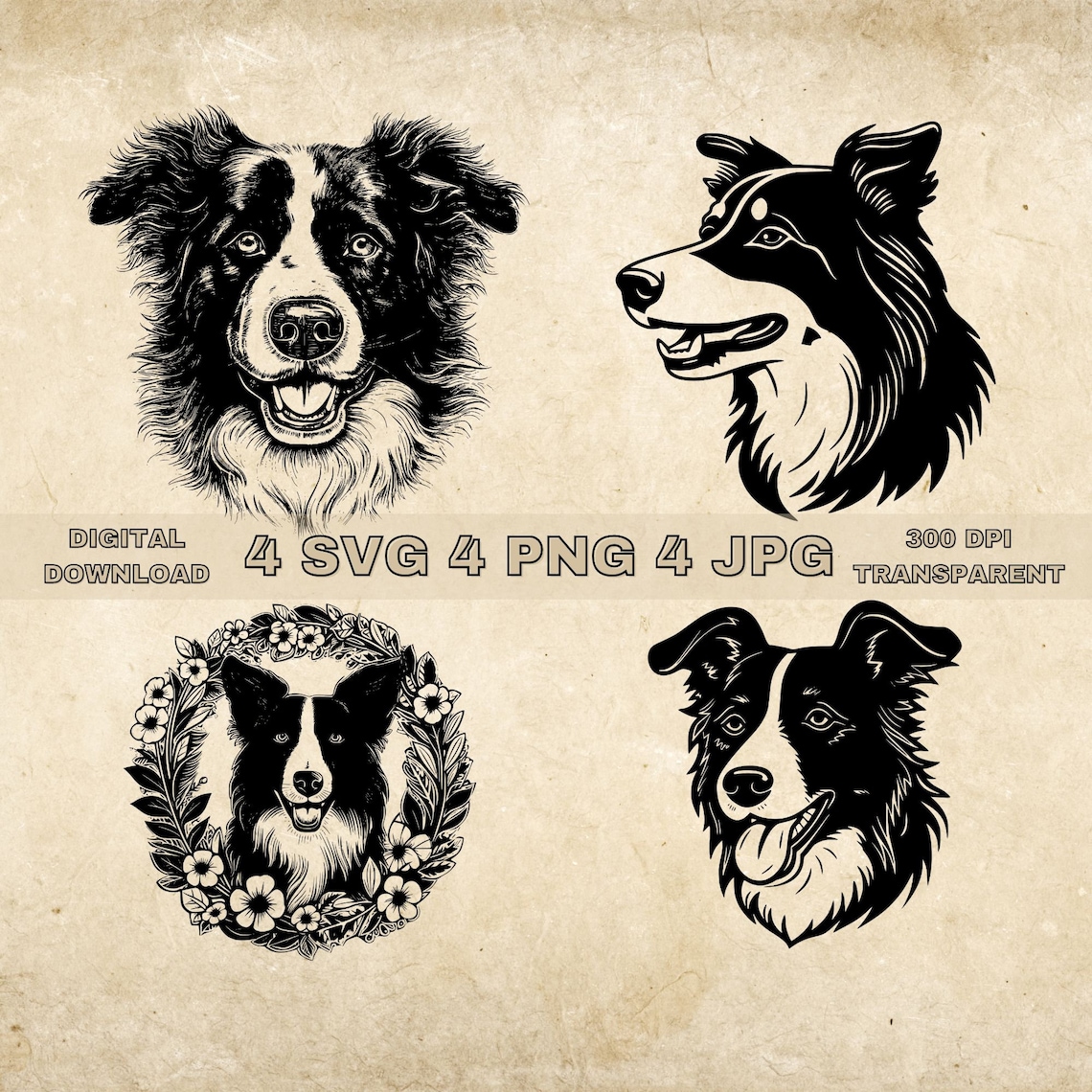 Border Collie SVG Bundle, PNG, Border Collie Clipart, Hand Drawn Dog ...