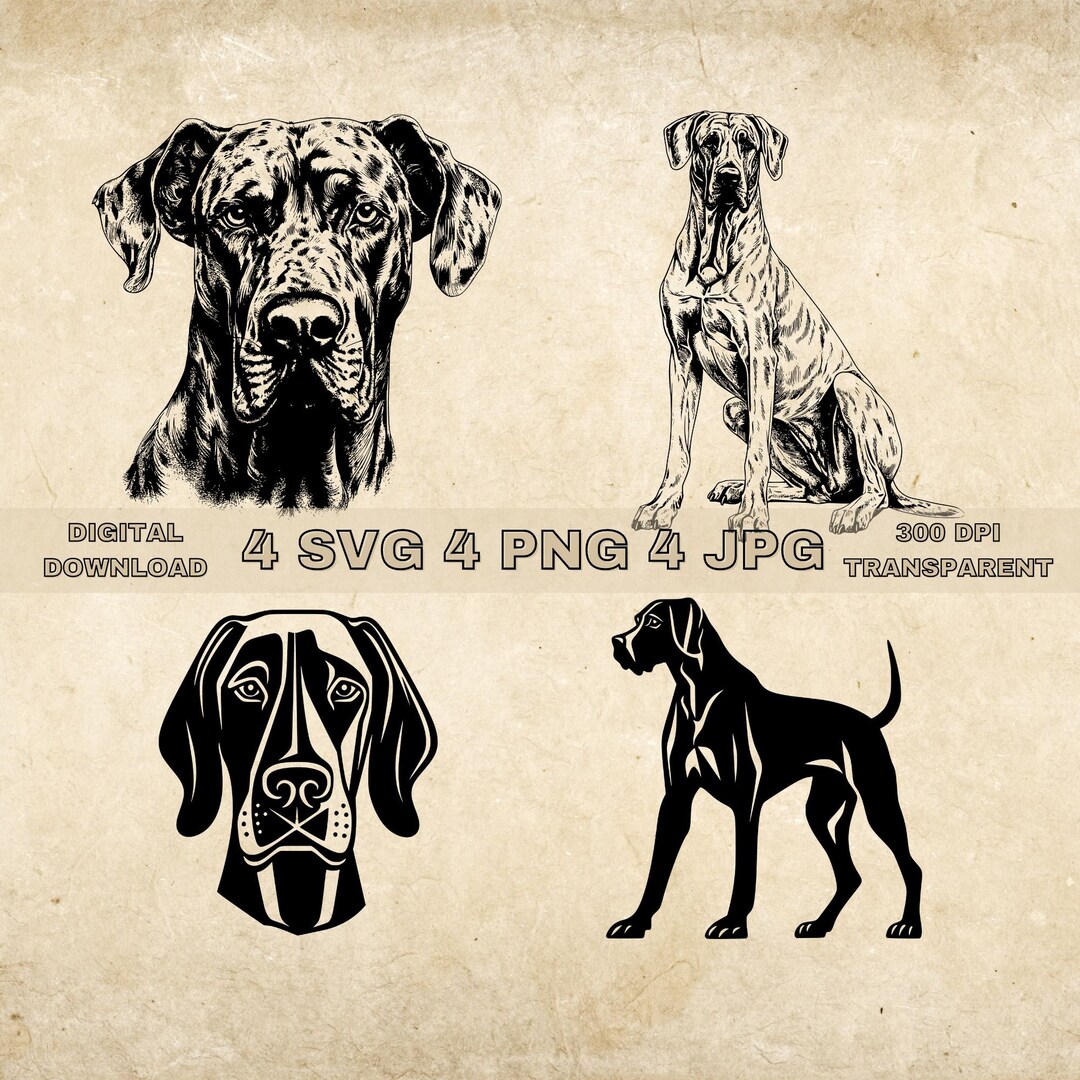 Great Dane SVG Bundle, PNG, Cute Dogs Clipart, Hand Drawn Dog Vector ...