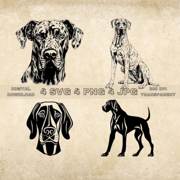 Great Dane Svg - Etsy
