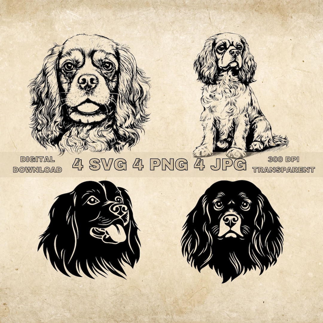 Cavalier King Charles Spaniel SVG Bundle, PNG, Cute Dogs Clipart, Hand ...