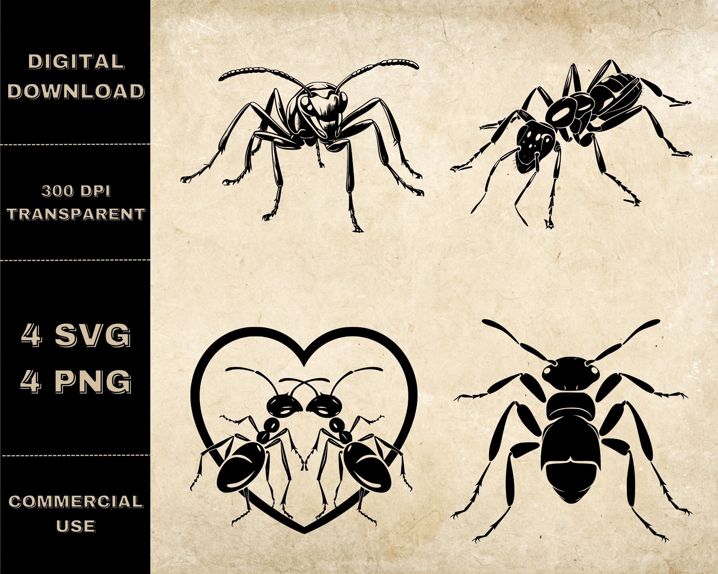 Ant SVG Bundle PNG Bug Clipart Hand Drawn Insect Vector - Etsy