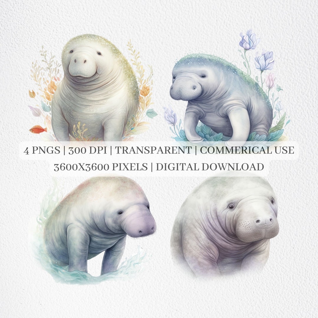 Manatee Clipart, Manatee PNG Files for Sublimation, Sea Animal Clip Art ...