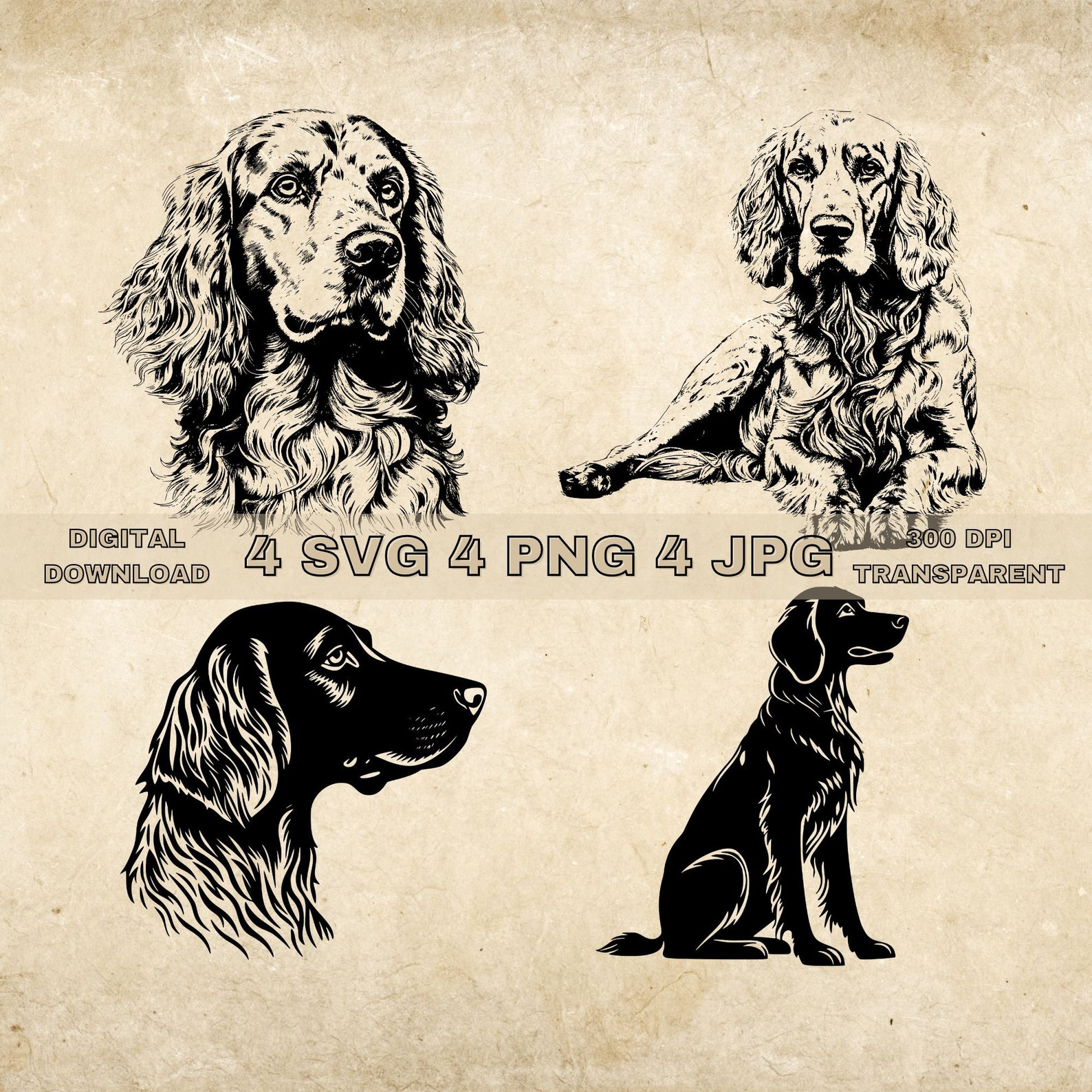English Setter SVG Bundle PNG Cute Dogs Clipart Hand Drawn - Etsy