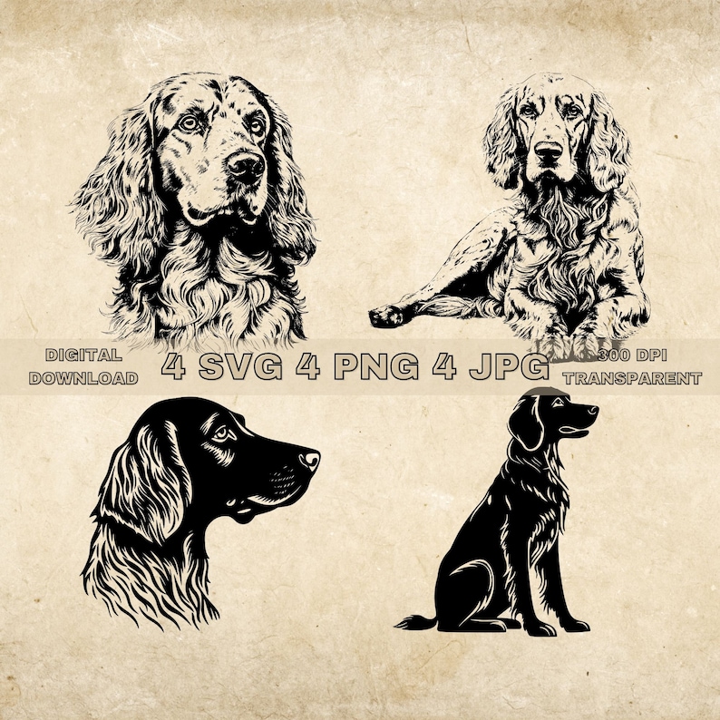 English Setter SVG Bundle PNG Cute Dogs Clipart Hand Drawn - Etsy