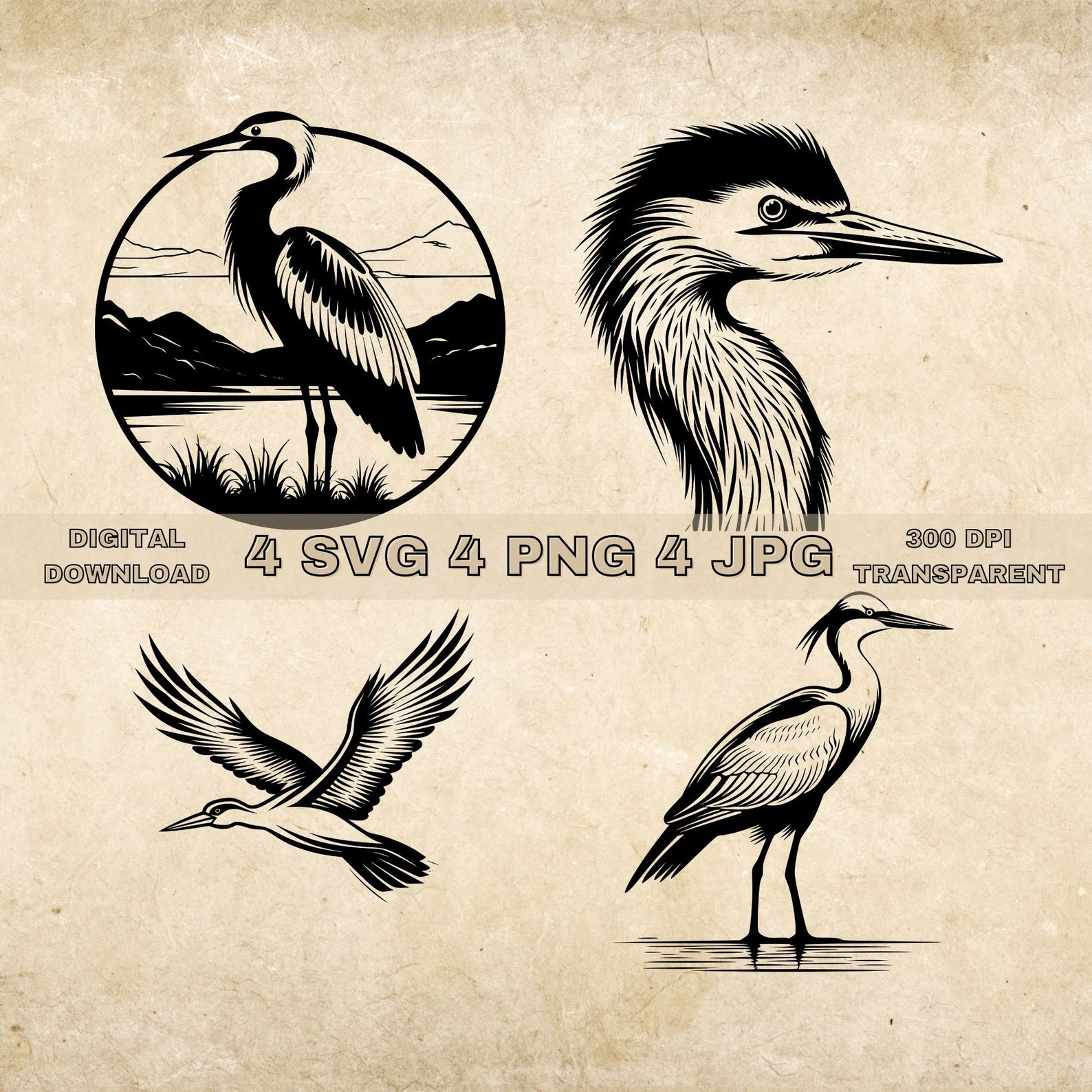 Heron SVG Bundle, PNG, Heron Clipart, Hand Drawn Heron Vector ...