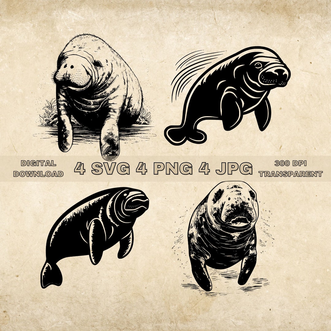 Manatee SVG Bundle, PNG, Manatee Clipart, Hand Drawn Manatee Vector ...