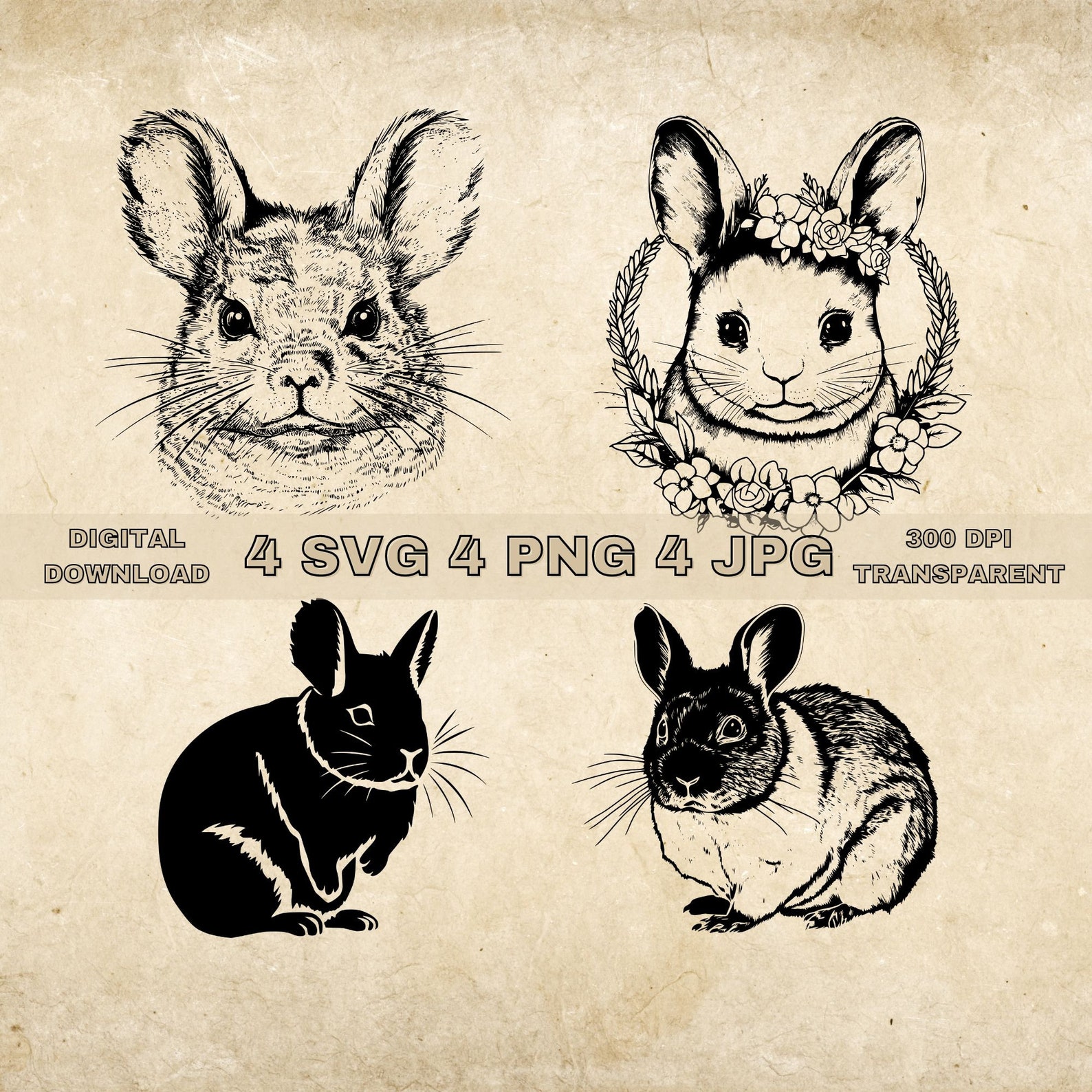 Chinchilla SVG Bundle PNG Chinchilla Clipart Hand Drawn - Etsy