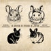 Chinchilla SVG Bundle, PNG, Chinchilla Clipart, Hand Drawn Chinchilla ...