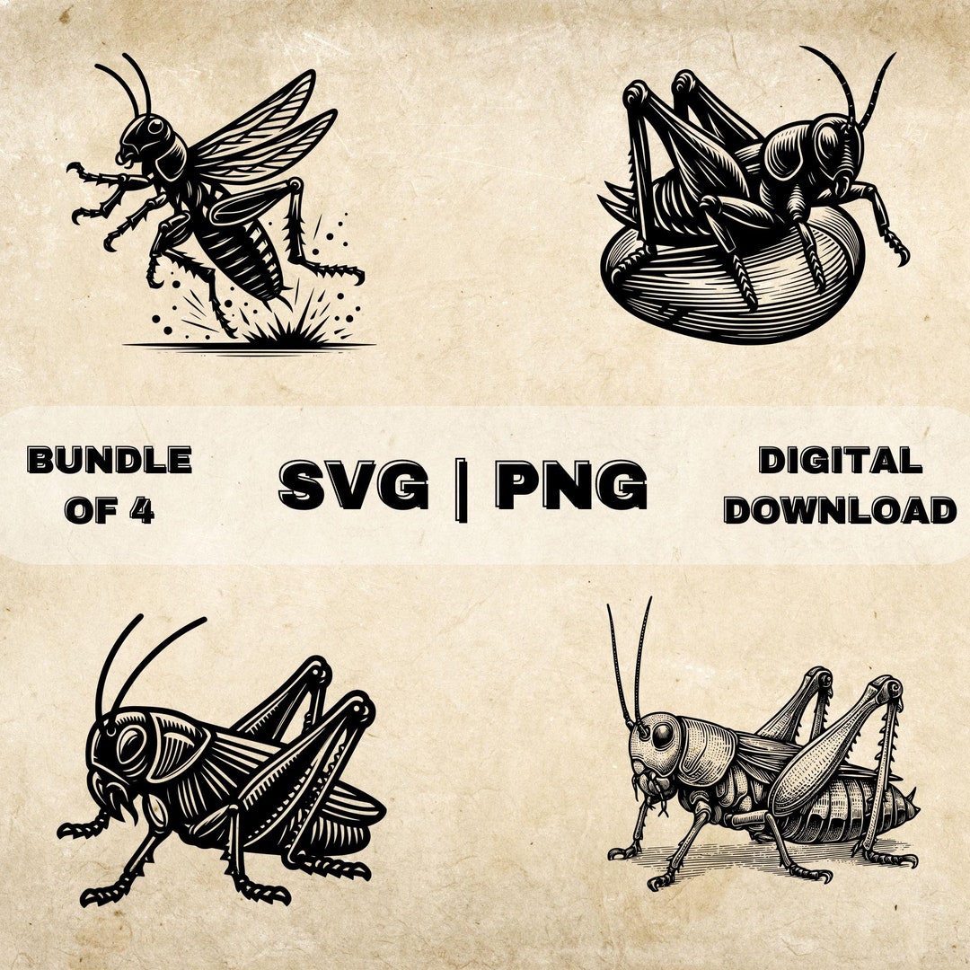 Cricket SVG Bundle, Insect Clipart, Hand Drawn Bug Lover Theme Vector ...