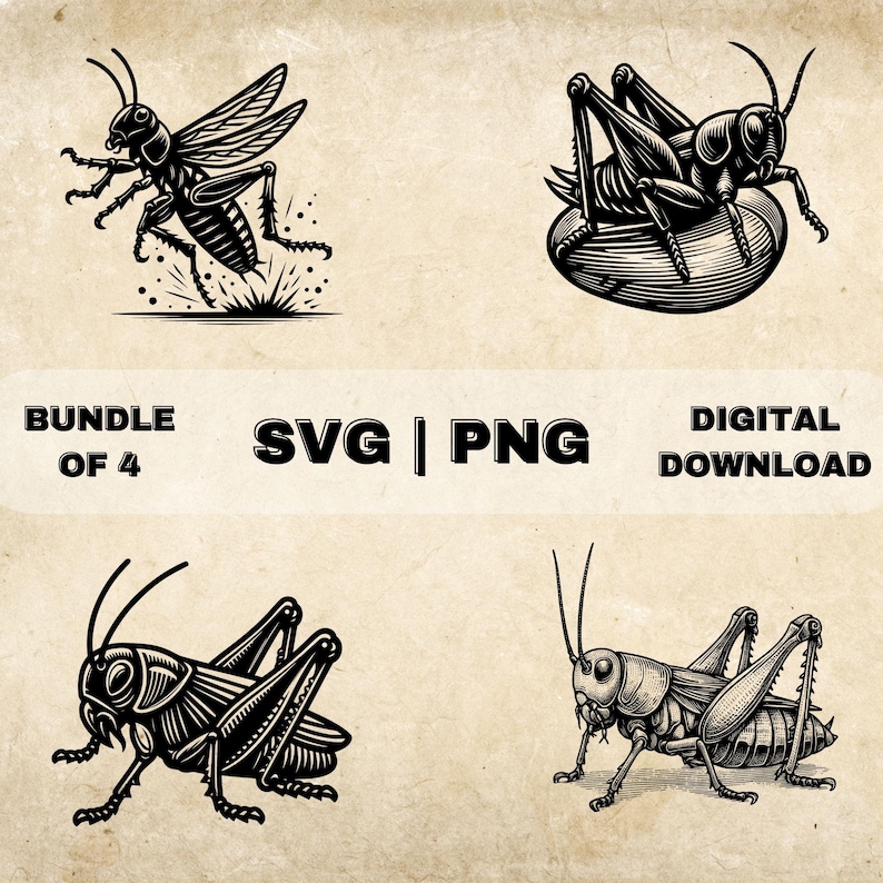 Cricket SVG Bundle, Insect Clipart, Hand Drawn Bug Lover Theme Vector ...