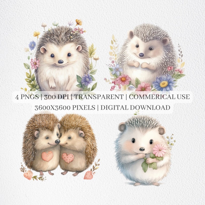 Floral Hedgehog Clipart, Hedgehog PNG Files for Sublimation, Hedgehogs ...