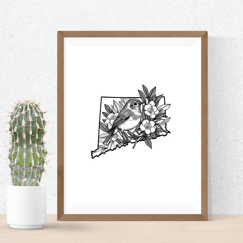 Connecticut SVG Bundle, American Robin Clipart, Mountain Laurel Flower ...