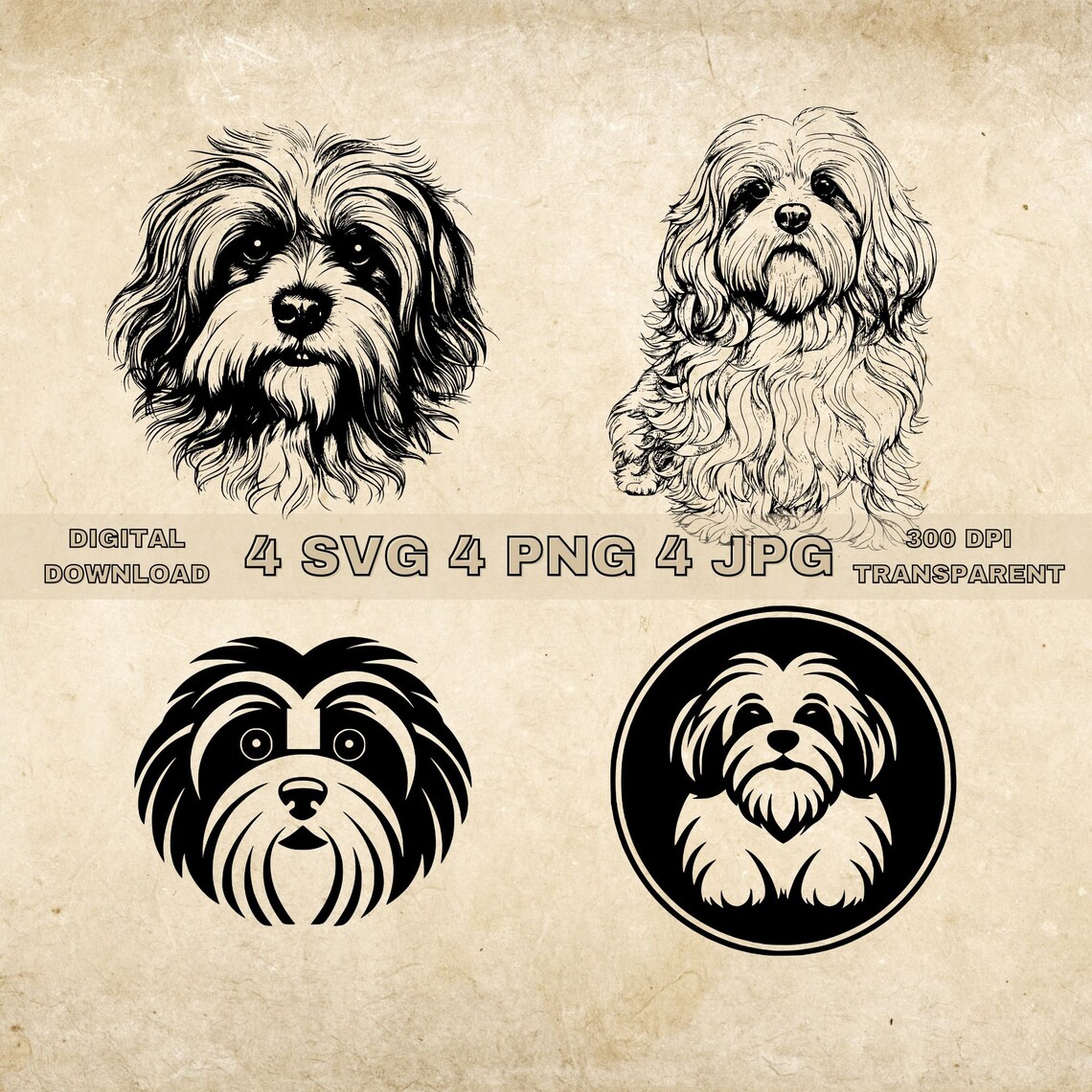 Havanese SVG Bundle, PNG, Dogs Clipart, Hand Drawn Dog Vector ...