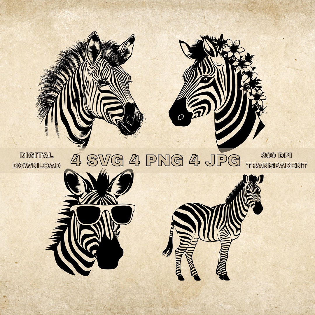 Zebra SVG Bundle, PNG, Zebra Clipart, Hand Drawn Safari Animal Vector ...