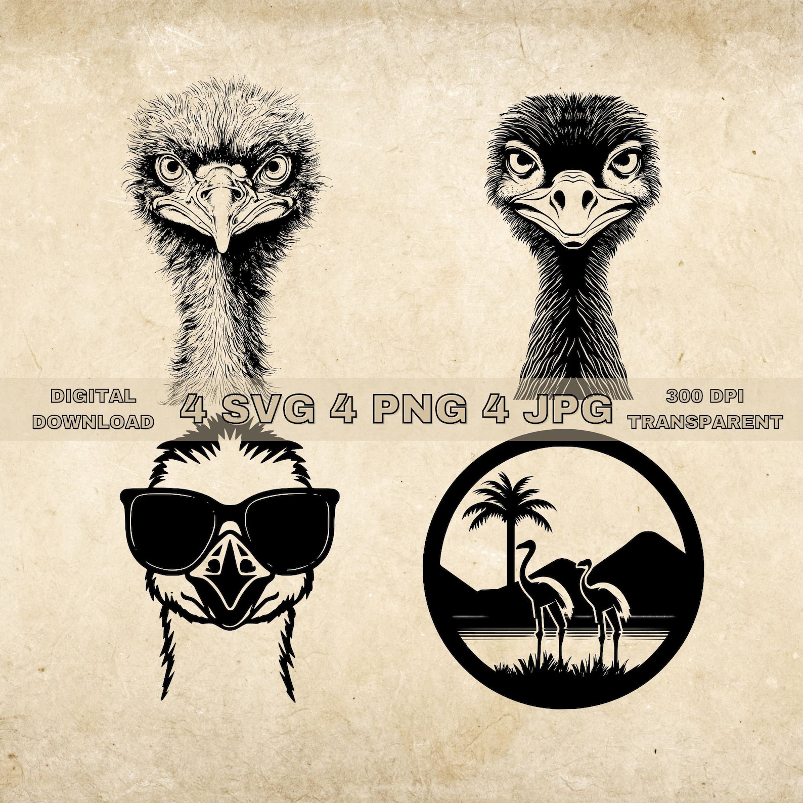 Ostrich SVG Bundle PNG Ostrich Clipart Hand Drawn Ostrich - Etsy