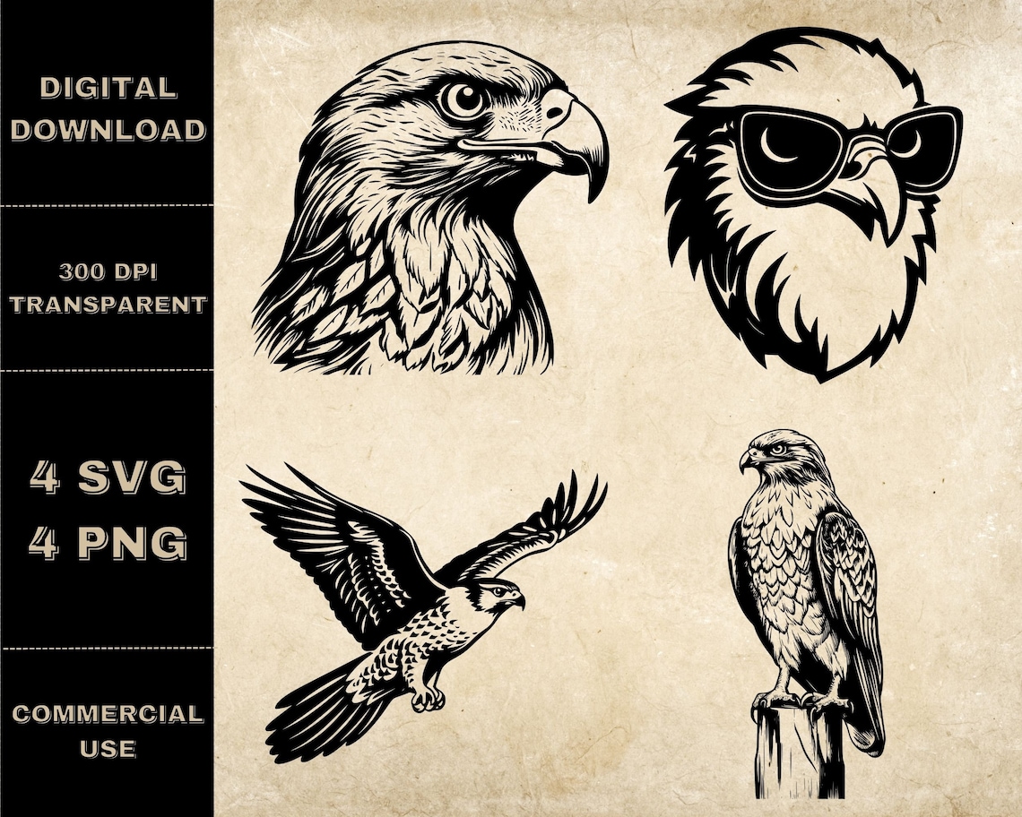 Falcon SVG Bundle PNG Falcon Clipart Hand Drawn Falcons - Etsy
