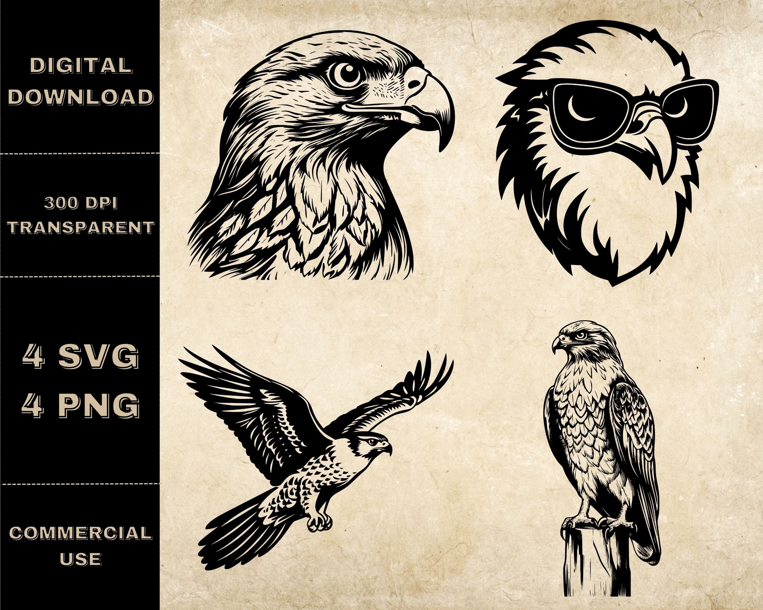 Falcon SVG Bundle PNG Falcon Clipart Hand Drawn Falcons - Etsy