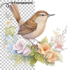 Wren Clipart, Birds PNG Files for Sublimation, Floral Bird Clip Art ...