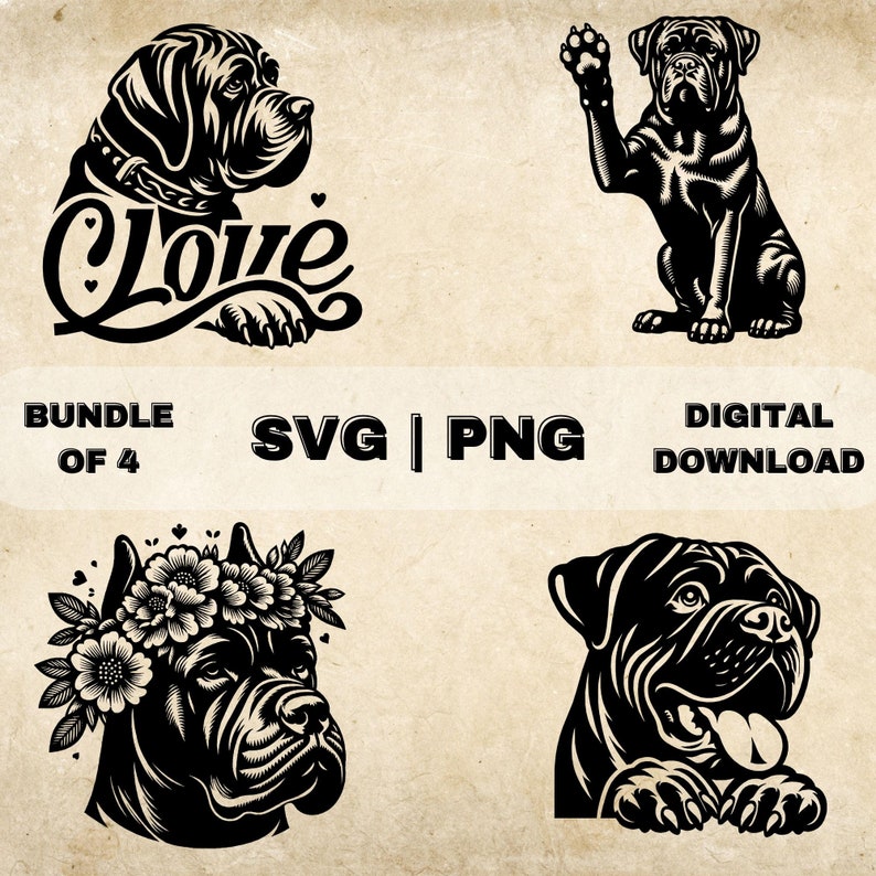 Cane Corso SVG Bundle, Cane Corso Clipart, Hand Drawn Dog Theme Vector ...