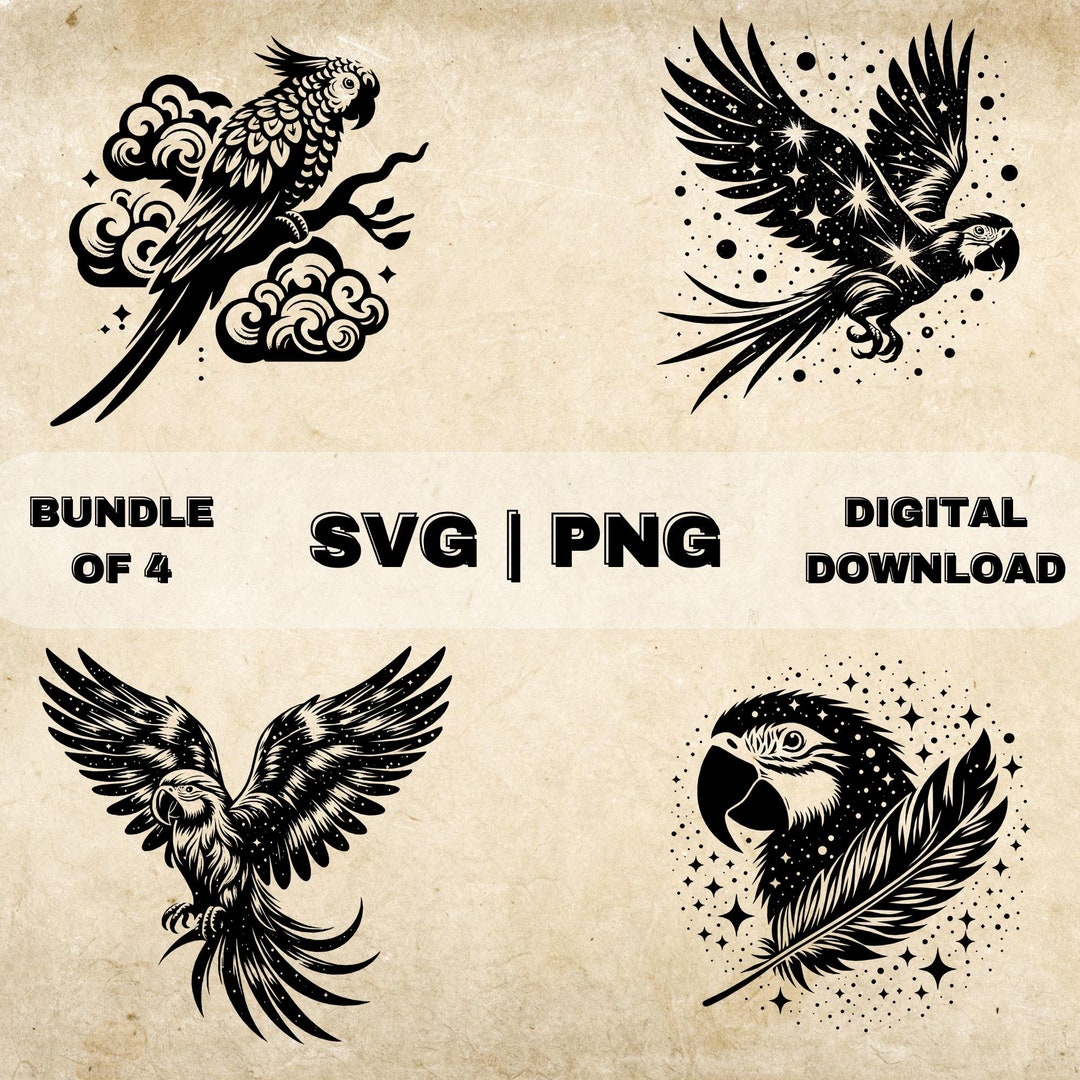 Parrot SVG Bundle, Fantasy Bird Clipart, Hand Drawn Parrots Themed ...