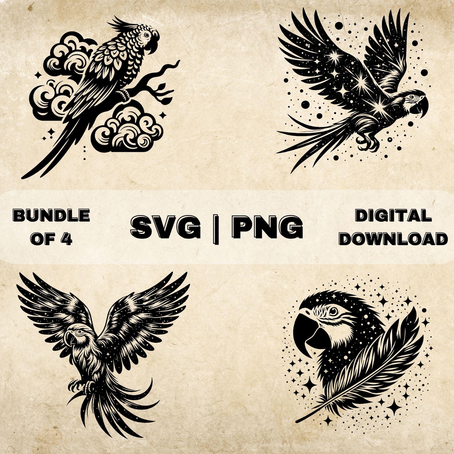 Parrot SVG Bundle, Fantasy Bird Clipart, Hand Drawn Parrots Themed ...