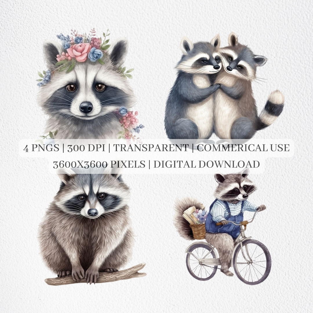 Cute Raccoon Clipart, Raccoon PNG Files for Sublimation, Raccoons Clip ...