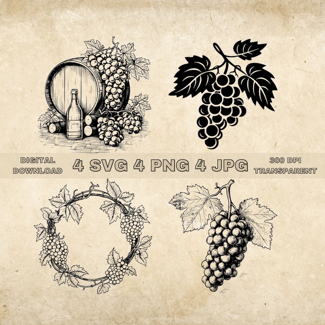 Grape SVG Bundle, PNG, Grapes Clipart, Hand Drawn Grape Vector Illustration, SVG Files for Laser ...