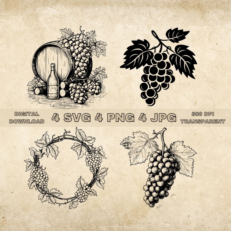 Grape SVG Bundle PNG Grapes Clipart Hand Drawn (Instant Download) - Etsy